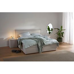 Boxbett s.Oliver "Alissia inkl. Bettkasten und Topper- frei im Raum stellbar", beige, B:198cm L:206cm, Komplettbetten, wahlweise mit Bonnell- oder TTFK-Matratze in H2, H3 o. H4 erh&auml;ltlich