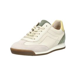 Sneaker Gabor "Gabor Sneaker Leder", Damen, Gr. 38, beige, gr&uuml;n, Leder, Schuhe Sneaker
