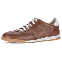 Sneaker Pius Gabor, Herren, Gr. 11 (46), cognac, sanftes wei&szlig;, Nappaleder, Schuhe Sneaker, Freizeitschuh, Komfortschuh, Schn&uuml;rschuh mit Kontrastn&auml;hten, G-Weite