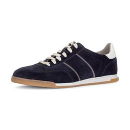 Sneaker Pius Gabor, Herren, Gr. 7 (40,5), nachtblau, wei&szlig;, Nappaleder, Veloursleder, Schuhe Sneaker, Freizeitschuh, Komfortschuh, Schn&uuml;rschuh mit Kontrastn&auml;hten, G-Weite