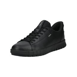 Sneaker Geox "Geox Sneaker Leder", Herren, Gr. 43, schwarz, Leder, Schuhe Sneaker