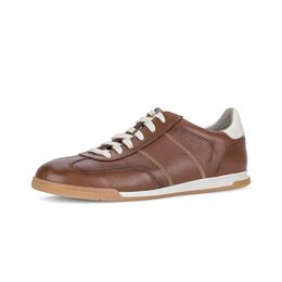Sneaker Gabor "Sneaker low", Herren, Gr. 45, braun, Schuhe Sneaker