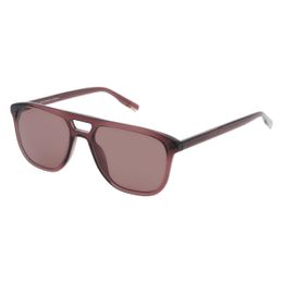 Tom Tailor 676008 | Unisex-Sonnenbrille | Fassung: Vollrand, Pilot, Kunststoff, Rot Transparent | Glasfarbe: Braun