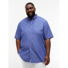 Tommy Hilfiger Big & Tall Kurzarmhemd "FLEX POPLIN", Herren, Gr. XXL, N-Gr, wedge blau, stripe, Web, Obermaterial: 100% Baumwolle, TOMMY HILFIGER BIG & TALL, regular fit normal, Rundhals, eingesetzt abgesteppte Kante, Hemden, Gro&szlig;e Gr&ouml;&szlig;en, regular fit, fein gestreift