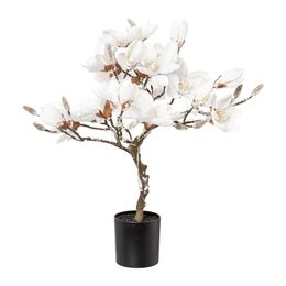 Gasper Kunstblume Magnolienbaum