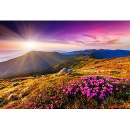 papermoon Fototapete "Karpaten", B/L: 4,5m x 2,8m, Bahnen: 9 Stk., bunt, Wohnzimmer, Tapeten