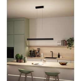 Paulmann LED Pendelleuchte "Raiko RGBW+ 2300lm / 370lm 19W / 6W Schwarz", 1, H: 6,3cm, 1 Stk., schwarz, Leuchten, dimmbar