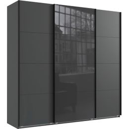 Schwebet&uuml;renschrank wimex, B:225cm H:236cm T:64cm, grau, Schr&auml;nke, "Norderstedt", INKLUSIVE 2 Stoffboxen und 2 zus&auml;tzliche Einlegeb&ouml;den, mit Glast&uuml;r
