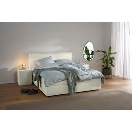 Boxbett s.Oliver, B:158cm L:206cmbeige, Komplettbetten, "Alissia inkl. Bettkasten und Topper- frei im Raum stellbar", wahlweise mit Bonnell- oder