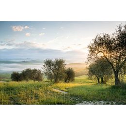 papermoon Fototapete "B&auml;ume in landschaft", B/L: 4,5m x 2,8m, Bahnen: 9 Stk., bunt, Schlafzimmer, Tapeten