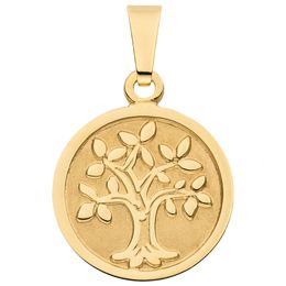 Kettenanh&auml;nger Jobo "Anh&auml;nger Lebensbaum rund 12 mm", gelbgold 333, Schmuckanh&auml;nger, Damen, Gelbgold 333, Kettenanh&auml;nger, 8 Karat 333 Gold