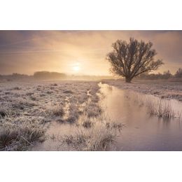 papermoon Fototapete "Winterlandschaft", B/L: 4m x 2,6m, Bahnen: 8 Stk., bunt, Schlafzimmer, Tapeten