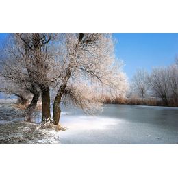 papermoon Fototapete "Winter Fluss", B/L: 4m x 2,6m, Bahnen: 8 Stk., bunt, Schlafzimmer, Tapeten