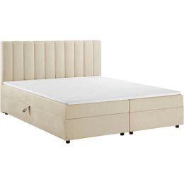 Boxbett OTTO HOME "Haileyy inkl. Bettkasten und Topper, Liegefl&auml;che 180x200cm", beige, B:182cm L:210cm, Komplettbetten, erh&auml;ltlich in der Gr&ouml;&szlig;e 180x200 cm, inkl. Aufbauvideo