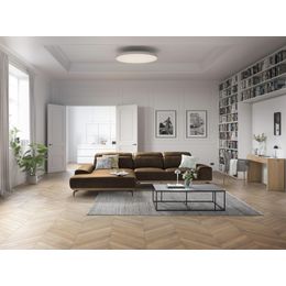 Wohnlandschaft Musterring, B:342cm T:207cm, braun, Sofas, "MR 2490 Ecksofa mit erstklassigem Sitzkomfort, Long-Life-Leder", Bronze-Fu&szlig; Sitzh&ouml;he 46cm,