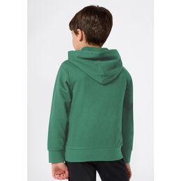 Champion Jungen Kapuzensweatshirt "ICONS CONTRAST Terry Hoodie", gr&uuml;n, Gr. XXL, Obermaterial: 54% Baumwolle, 46% Polyester, Sweatshirts, mit Kapuze,