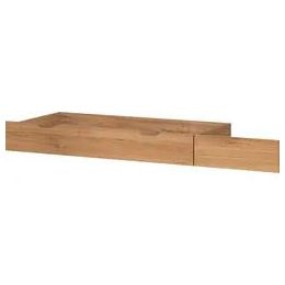 Bettschubkasten OTTO HOME "Gala, Schublade auf Rollen f&uuml;r ausreichend Stauraum unter dem Bett", braun (pacific walnut), B:195cm H:20cm T:72cm, Holzwerkstoff, Schubladen, Bettschubkasten, Erg&auml;nzung f&uuml;r die Betten Gala, passend f&uuml;r beide Liegefl&auml;chen