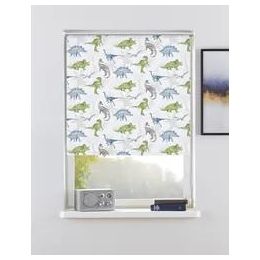 Rollo OTTO HOME "DINO" Gr. 8, grau (blau, gr&uuml;n, grau), B:100cm H:150cm, Polyester, Rollos, Fixma&szlig;, Klemmfix, DINO, Kinderrollo -NEUHEIT