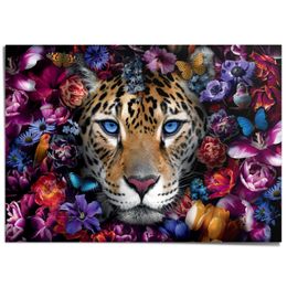 Poster Reinders "Power Cat", bunt (farbe bild(er): mehrfarbig), B:140cm H:100cm T:0,1cm, Bilder, Poster, Wohnzimmer - Blumen - Schmetterlinge - Farbenfroh - Mehrfarbig, Papier
