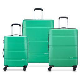 Delsey Paris Suitcase Set 'Now Hardside ' male Green size One Size