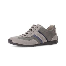 Sneaker Gabor "Sneaker low", Herren, Gr. 39, grau, Schuhe Sneaker