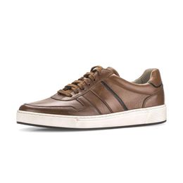 Sneaker Gabor "Sneaker low", Herren, Gr. 41, braun, Schuhe Sneaker