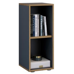 B&uuml;cherregal Vcm "Holz B&uuml;ro Regal B&uuml;cher Ordner Aktenregal Salia 2f", schwarz (anthrazit), B:30cm T:33cm, Regale, B&uuml;cherregal