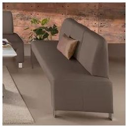 Polsterbank exxpo - SOFA FASHION "Intenso, Sitzbank, Breite 182 cm, wahlweise in Leder oder Textil", grau (taupe), B:182cm H:91cm T:67cm, NaturLeder;Strukturstoff (Zusammensetzung: Polyester 100%);Luxus-Microfaser (Zusammensetzung: Aufgeflockte 100% Polyester Schicht mit Pr&auml;gung);Cord (Zusammensetzung: Polyester 100%), Sitzb&auml;nke, Polsterbank, hohe Bodenfreiheit, frei im Raum stellbar, hoher Sitzko