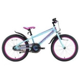 Jugendfahrrad Bikestar "Urban Jungle" Gr. 26, blau (berry, t&uuml;rkis), Fahrr&auml;der, Kinder, 25,6cm, 20 Zoll (50,80cm), f&uuml;r Damen