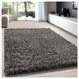 Hochflor-Teppich Ayyildiz TEPPICHE "Enjoy Shaggy", grau (taupe), B:240cm H:50mm L:340cm, Kunstfaser, Teppiche, auch als L&auml;ufer, Shaggy, Langflor, meliert, Wohnzimmer