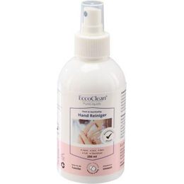 EccoClean Handreiniger, dermatologisch getestet, pH-neutral, Spr&uuml;hflasche mit 250 ml