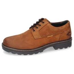 Schn&uuml;rschuh Camel Active, Herren, Gr. 42, braun (cognac), Nubukleder, Schuhe Schn&uuml;rschuh, Trachtenschuh, Freizeitschuh mit gepolsterter Innensohle