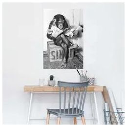 Poster Reinders "Chimp Zeitung Affe Schimpanse", schwarz (farbe bild(er): schwarz, wei&szlig;), B:61cm H:91,5cm, Papier, Bilder, Poster