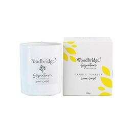 Woodbridge Duftkerze "Lemon Sorbet" in Wei&szlig; - 250 g - 49% | Kerzen-vasen