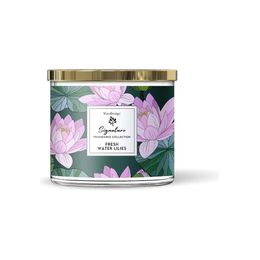 CANDLE-LITE Duftkerze "Fresh Water Lillies" in Gr&uuml;n/ Lila - 410 g - 49% | Kerzen-vasen