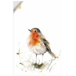 Artland Wandbild &raquo;Aquarell Rotkehlchen&laquo; Vogelbilder 1 Stk. tlg. als Alubild, Leinwandbild, Poster, Wandaufkleber in verschied. Gr&ouml;&szlig;en Vinyl