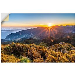 Artland Wandbild &raquo;Sonnenaufgang &uuml;ber Madeira Bica da Cana&laquo; Bilder vom Sonnenuntergang & -aufgang 1 Stk. tlg. als Alubild, Leinwandbild, Poster, Wandaufkleber 