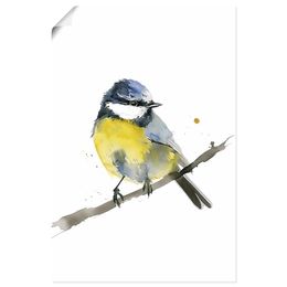 Artland Wandbild &raquo;Aquarell Blaumeise&laquo; Vogelbilder 1 Stk. tlg. als Alubild, Leinwandbild, Poster, Wandaufkleber in verschied. Gr&ouml;&szlig;en Papier