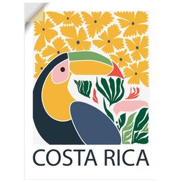 Artland Wandbild &raquo;Costa Rica&laquo; Vogelbilder 1 Stk. tlg. als Alubild, Leinwandbild, Poster, Wandaufkleber in verschied. Gr&ouml;&szlig;en Vinyl