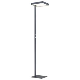 Globo lighting Stehleuchte "BARKER" in anthracite | Gr.: onesize