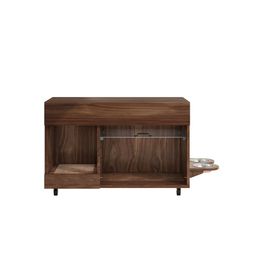 ABRIHOME Katzenkloschrank in Nussbaumfarbe - 100&times;45.5&times;67cm | Gr.: onesize