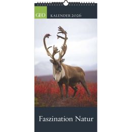 TeNeues Calendars & Stationery Kalender - GEO - Faszination Natur 2026 - Wandkalender 22x45 cm, 12 Monatsbl&au | Gr.: onesize
