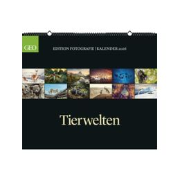 TeNeues Calendars & Stationery Kalender - GEO - GEO Edition: Tierwelten 2026 - Wandkalender 70x60 cm, Tier-Po | Gr.: onesize