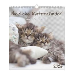 TeNeues Calendars & Stationery Kalender - Alpha Edition - Niedliche Katzenkinder 2026 - Wandkalender 30&times; | Gr.: onesize