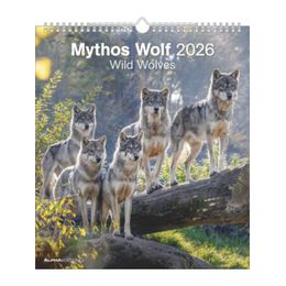TeNeues Calendars & Stationery Kalender - Alpha Edition - Mythos Wolf 2026 - Wandkalender 30&times;34 cm mit 1 | Gr.: onesize