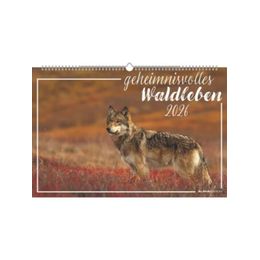 TeNeues Calendars & Stationery Kalender - Alpha Edition - Geheimnisvolles Waldleben Kalender 2026 - Bildkalend | Gr.: onesize