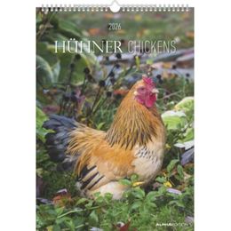 TeNeues Calendars & Stationery Kalender - Alpha Edition - H&uuml;hner 2026 - Wandkalender A3 (30&times;42 cm) | Gr.: onesize