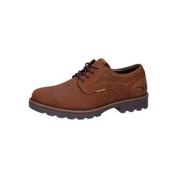 Camel Active Halbschuhe in Cafe | Gr.: 43