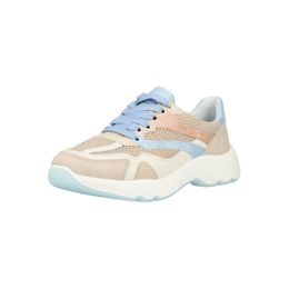 Ara Sneaker in Cream | Gr.: 37