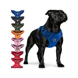 Reichstadt Hundegeschirr 25RSP083 Blue S | Gr.: L